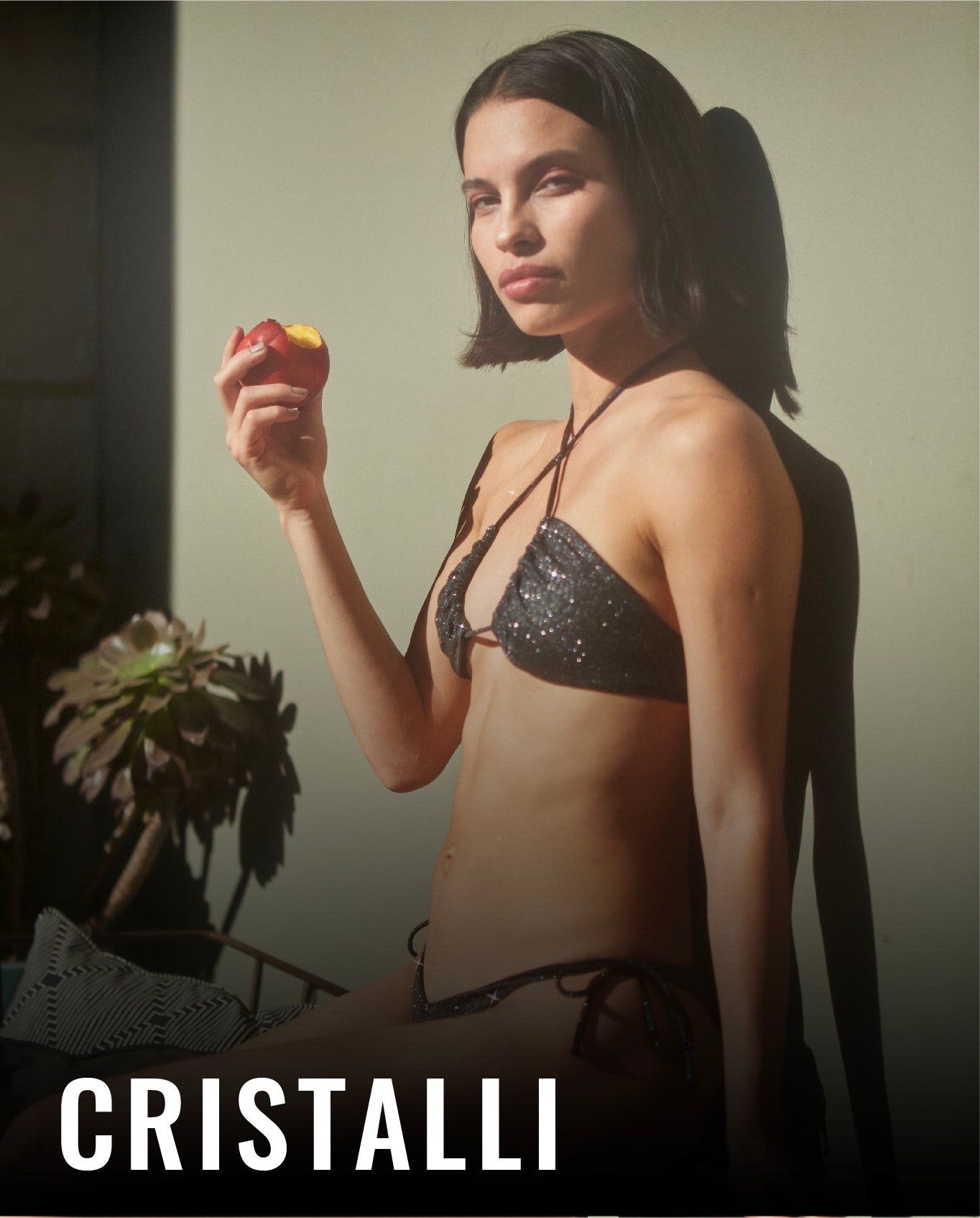 Cristalli – Cassiopea Official